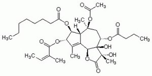 Calbiochem | Sigma-Aldrich