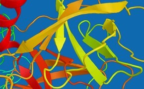 Recombinant Protein Sample Preparation and Purification