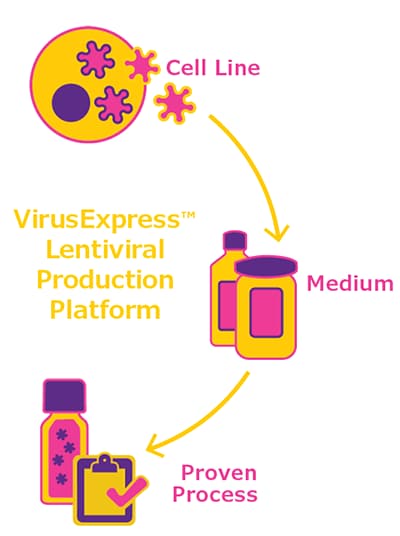 Bioprocessing Cell Lines