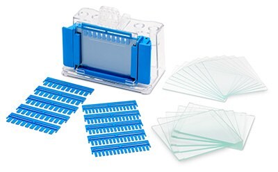 蛋白凝胶电泳和转印设备 | Sigma-Aldrich