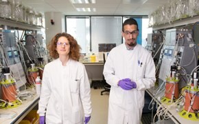 BioReliance®品牌_生物制药测试服务_cGMP合规性测试_-默克生命科学