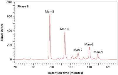 HPLC Analysis of Glycans