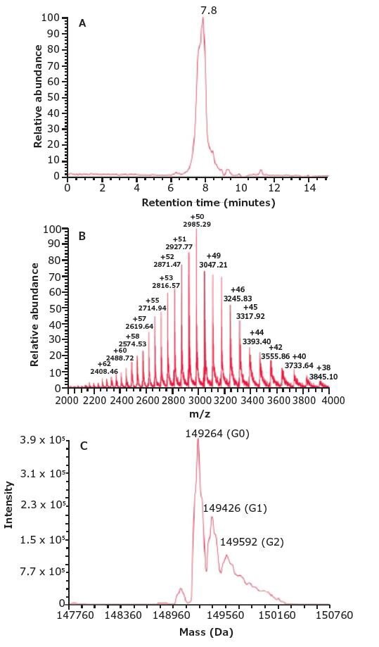 Analysis Of A Bispecific Monoclonal Antibody Using Size Exclusion Analysis Of A Bispecific Monoclonal Antibody Using Size Exclusion