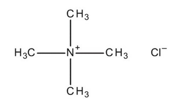 (ch3)4ncl Lewis Structure