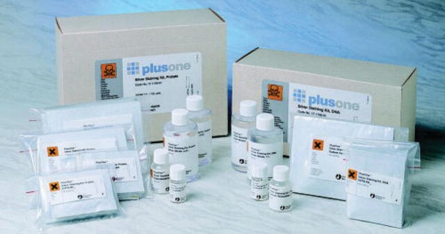 ProteoSilver Silver Stain Kit Silver Staining Kit