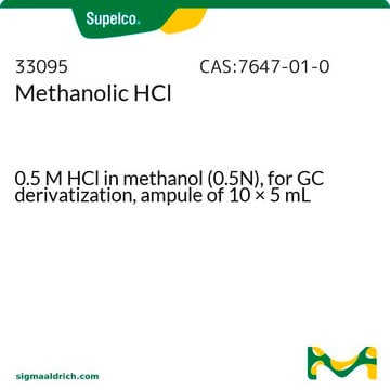 Hydrogen chloride solution 0.5 N in methanol | Sigma-Aldrich