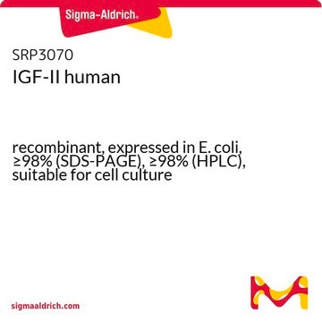 IGF-I human Animal-component free, recombinant, expressed in E. coli ...
