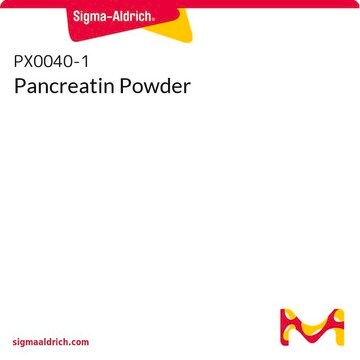 Pancreatin Powder | Sigma-Aldrich