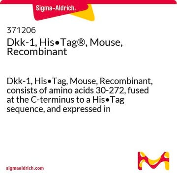 Dkk-1, His•Tag®, Mouse, Recombinant Dkk-1, His•Tag, Mouse, Recombinant ...