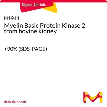 Myelin basic protein | Sigma-Aldrich