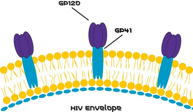 Gp120 | Sigma-Aldrich