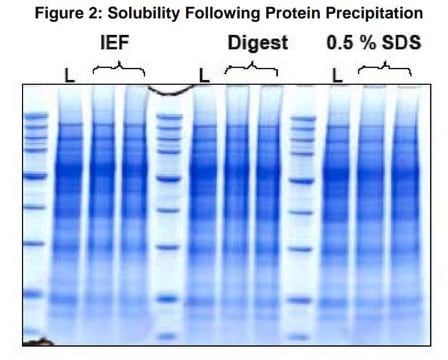 ProteoExtract® Protein Precipitation Kit | Sigma-Aldrich
