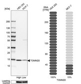 Tom20 | Sigma-Aldrich
