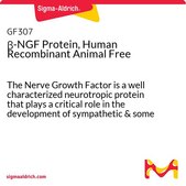 Ngf | Sigma-Aldrich