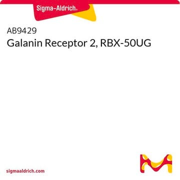 Galanin | Sigma-Aldrich