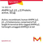 A5503-10g | Sigma-Aldrich