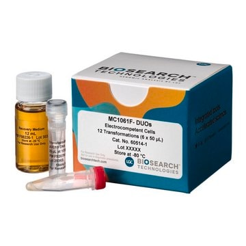 Lucigen | Sigma-Aldrich