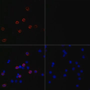 Spike | Sigma-Aldrich