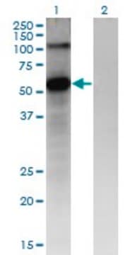 Gpcr | Sigma-Aldrich