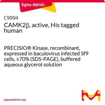 Camk2 | Sigma-Aldrich