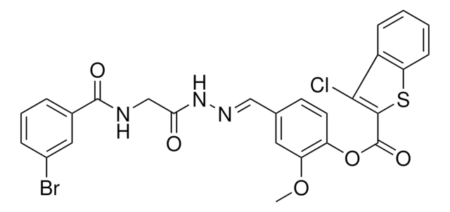 L3022 | Sigma-Aldrich
