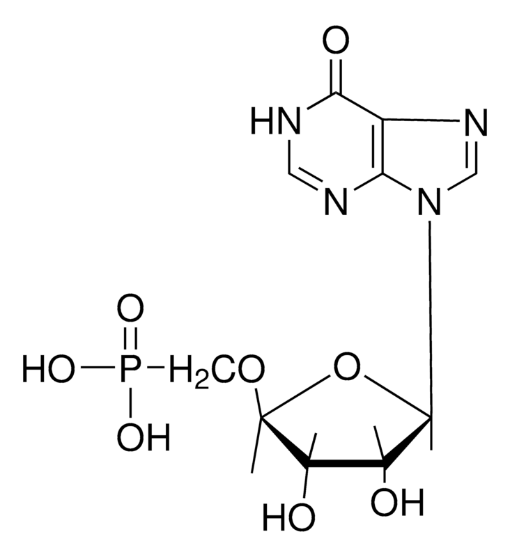 Inosine Monophosphate Synthesis Fragment Based Approach To Targeting