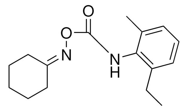 Ethyl cyclohexanone | Sigma-Aldrich