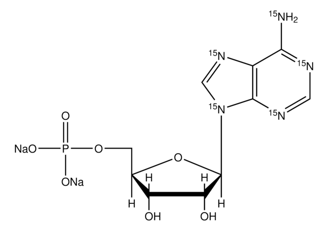 Nmp | Sigma-Aldrich