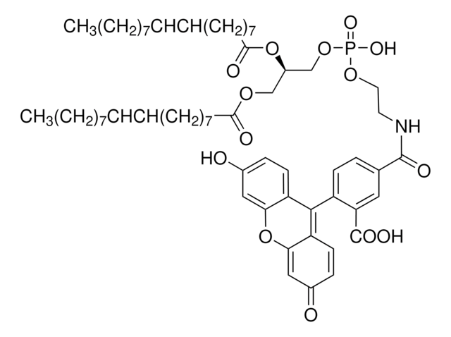 1,2-Dioleoyl-sn-glycero-3-phosphoethanolamine, fluorescein-labeled for ...