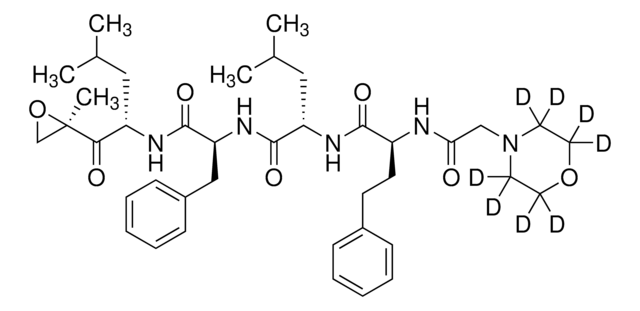 Morpholine Sigma Aldrich