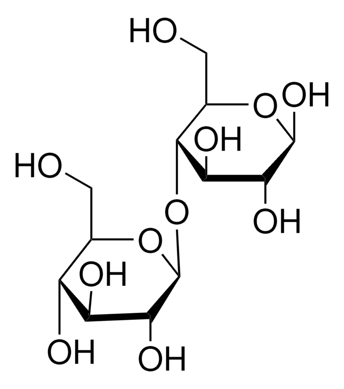 Cellobiose Hydrolysis