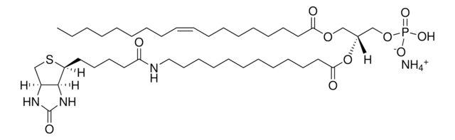 Biotin pa | Sigma-Aldrich